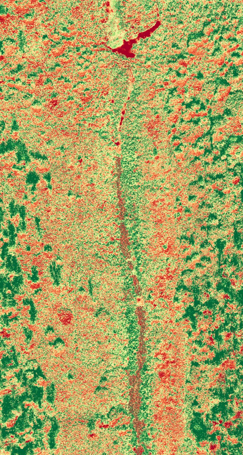 UAV Ontario Drone Vegetation Mapping | UAV Ontario