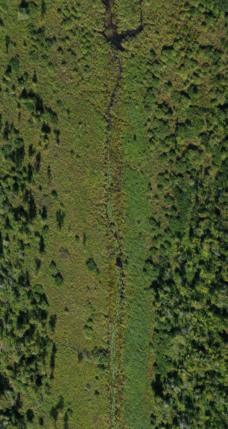 UAV Ontario Drone Vegetation Mapping | UAV Ontario